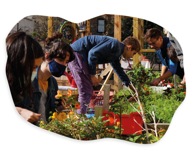 About Us – Rumpus Room