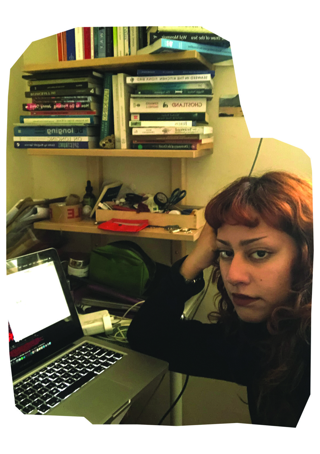 Who We Are – Rumpus Room